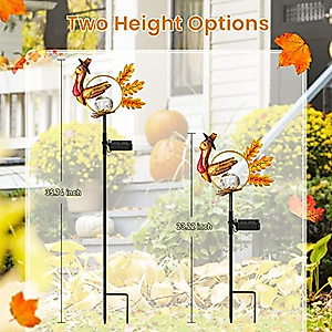 Thanksgiving Decorations Outdoor, 2 Pack AHAORIGIN Solar Turkey Fall Decorations, 36" Solar Powered Metal Turkey Garden Stakes Lights, Auto ON/Off Waterproof Thanksgiving Yard Pathway Outdoor Decor
