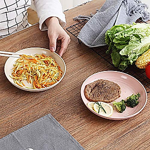 Kota Japan Wheat Straw Fiber Unbreakable Tableware 8.8” Plate for Dinner, Lunch, Breakfast for Pasta, Noodle, Salad, Dessert Dishes - Dishwasher, Microwave, Environment Safe Dinnerware 4 pc Dish Set