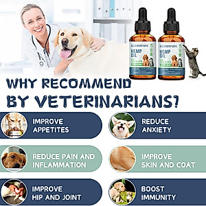 Natural Oil for Dogs and Cats - Natural Oil Drops with Omega Fatty Acids - Hip and Joint Support and Skin Health 240320044