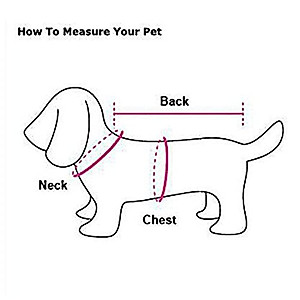 Dog Raincoat Dog Clothes Waterproof Clothing Transparent Rain Jacket Small Medium Large Dogs Clothes Outdoor Pet Jacket