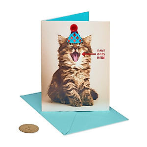 Papyrus Funny Cat Birthday Card (Indulge)