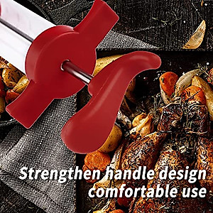 JY COOKMENT Meat Injector Syringe, 1-oz Marinade Flavor Injector with 2 Professional Needles,1 Cleaning Brushes