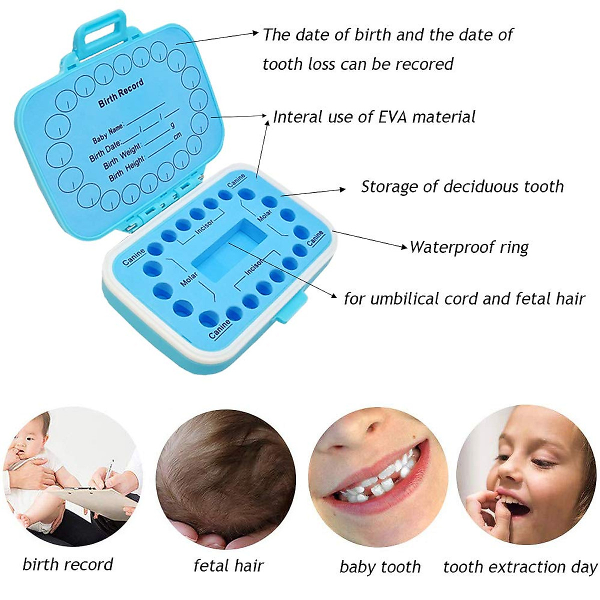 Baby Tooth Fairy Keepsake Box Kids Teeth Storage Box Tooth Holder Organizer with a Tweezers Kids Gift for Baby Shower Christmas Birthday Keep The Childhood Memory(Blue)