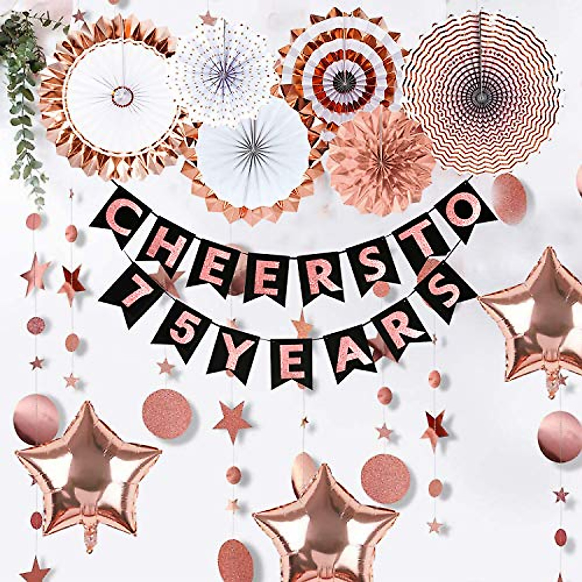 75th Birthday Decorations for Women by Hombae, 75th Anniversary Decorations, 75 Bday Decorations, Rose Gold Cheers to 75 Years Banner, 75 Birthday Decor, 75 Years Old Party Favors Supplies