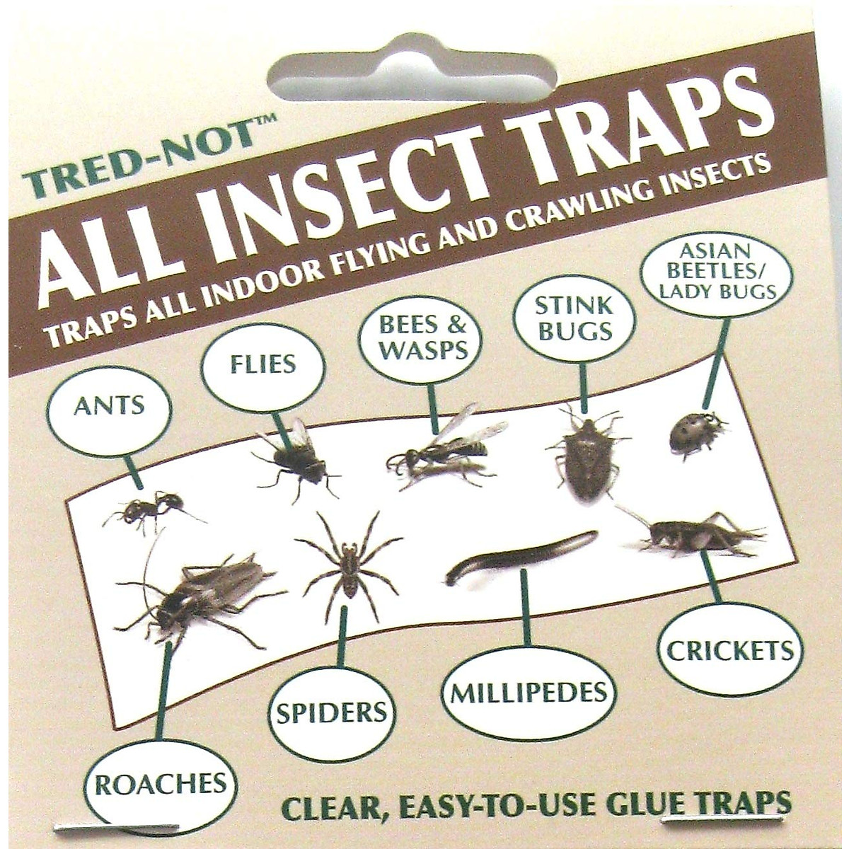 8 pk Economy All Insect Traps/Glue Boards/Window Strips. Fly, Bees, Wasps, Asian Beetles +