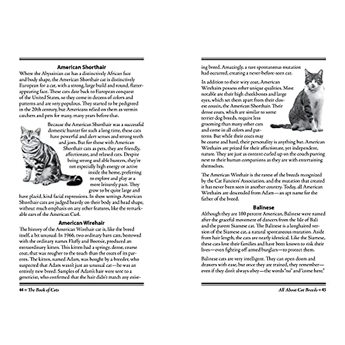 The Book of Cats: House Cats, Big Cats, Black Cats, Poetic Cats: History, Breeds, Tricks, Trivia, Stories, and More!