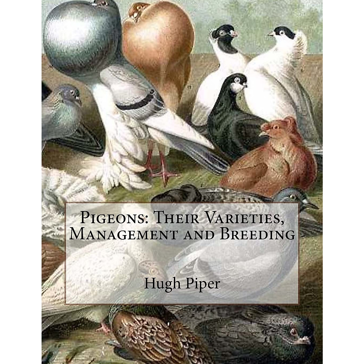Pigeons: Their Varieties, Management and Breeding