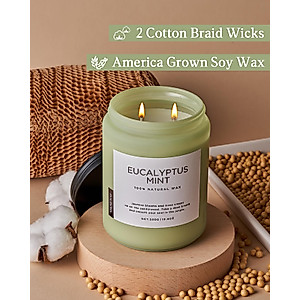 M&SENSE Eucalyptus & Mint Candles for Home Scented, 19.4oz 110 Hours Burn Soy Aromatherapy Candle Gift for Stress Relief, Meditation, Yoga, Relaxing SPA, Natural Jar Candles for Men and Women