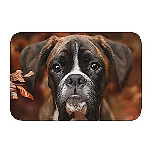 Yuwznsx Boxer Dogs Autumn Door Mat Rugs Indoor Outdoor Non Slip Entrance Front Door Doormat for Bathroom/Kithchen/Bedroom/Living Room