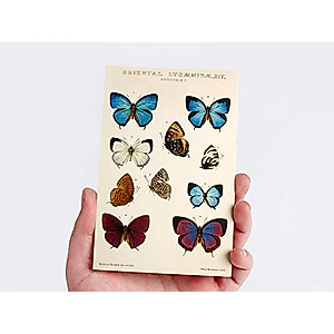 Vintage Collection Postcard Set: Pack of 30 Retro Style Botanical, Nature and Ephemera Postcards by Wintertime Crafts