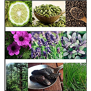 FILA Eau de Toilette for Men - Cool, Clean, Refreshing - A Classic Cologne For Men - Extra Strength, Long Lasting Scent Payoff - Trendy, Rectangular, Streamlined, Portable Bottle Design - 3.4 oz