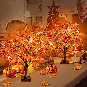 Remon 36 LED Lighted Fall Maple Tree - 1.5FT Thanksgiving Tabletop Lamp Decor with, 72 Maple Leaves, 6 Acorns, Timer Battery Operated 18 Inch Burlap Base Fall Artificial Tree for Autumn Decorations