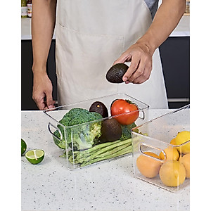 Faryuan 4 PCS Clear Plastic Storage Bins, Refrigerator Organizer Bins with Handles, Pantry Organizer Bins for Food, BPA-Free Fridge Organizer for Fridge, Freezer, Kitchen, Cabinet, Pantry, 10" Long