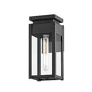 Troy Lighting B8513-TBK Braydan - 1 Light Outdoor Wall Sconce-13 Inches Tall and 6 Inches Wide