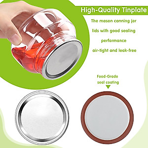 Honeydak 500 Pcs Canning Lids Regular Mouth Mason Jar Lids Airtight Reusable Canning Jar Lids, Split Type, Silver