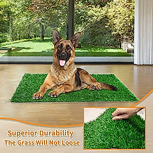 LOOBANI Dog Grass Pee Pads, Arificial Grass Patch for Potty Tray, Fake Grass Tuf for Dogs to Pee On, Indoor Pee Grass for Dog Potty, Dog Grass Outdoor Use- Set of 2(18" x 23")