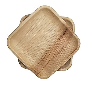 Dtocs Palm Leaf Plates Pack 50, 7 Inch Square | Eco-friendly, Compostable, Natural, Biobased, Organic Disposable Party Plates For Wedding, Camping, Birthday Dinner | Better Than Bamboo, Paper Plates.