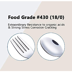 ANNOVA Children's Flatware 12 Pieces Set - Stainless Steel Silverware 6 x Safe Forks, 6 x Dinner Spoons - Kids Toddler Utensils Lunch Box (Engraved Dinosaurs T-Rex, Triceratops)