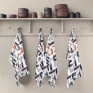 Bulletgxll Kitchen Towels Set of 1 Crackled Frosted Letters Soft Absorbent Dishcloths Reusable Dish Towels Tea Towels Cleaning Cloths for Kitchen Home