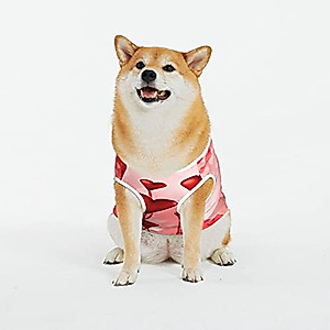 Heart Shape Balloon Dog Puppy Cotton T-Shirt, Valentine's Day Washable Pets Clothes for Kitty Cats Dogs All Seasons 5XL