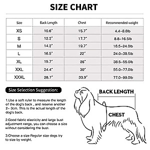 Dog Onesie Prevent Shedding Hair Surgery Recovery Suit Pets Bodysuit Sport Shirt,Dog Surgical Suit Zipper (S, Lake Grey)