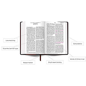 ESV Large Print Personal Size Bible (TruTone, Chestnut)