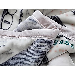 USA 100 Dollar Blanket, Traveling, Hiking, Camping, Full Queen, TV, Cabin, Couch, Bed Throw. 75" Wx90 H 3.5LBS, Reversable, Fuzzy Mink Cozy Warm Home Fashion
