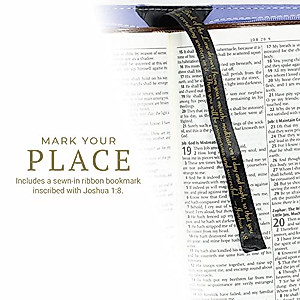 Divinity Boutique Bible Case - X-Large Bible Cover for Women and Girls- Faux Leather Zippered Bag with Ecc. 3:11 - Fits Books up to 10” x 7.5” x 1.5”