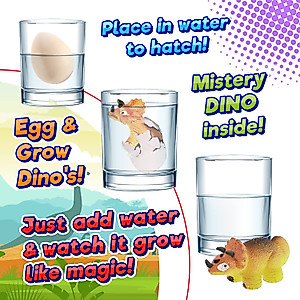 JA-RU Dinosaur Egg Growing Toys (1 Egg Assorted) Magic Surprise Hatching & Grow in Water Animals for Kids. Prefilled Toys. Bulk Jurassic Party Favors Easter Basket Fillers. 1745-1A