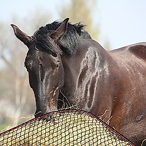 Hay Net Hay Bales Round Bale Hay Net Slow Feed 5 mm Thick Bale Knotless Large Hay Feeder Hay Bags for Horses Black Feeding Supplies for Horses Goat Cattle Equine Stalls Barn Feed Decoration (6 x 6 Ft)