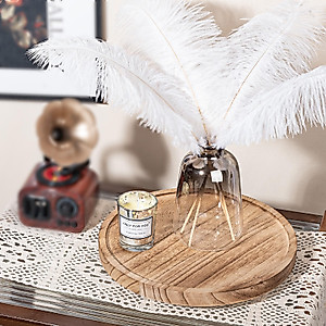 Wood Lazy Susan Organizer Kitchen Turntable for Cabinet Farmhouse Bathroom Decor Round Decorative Tray for Vanity, Counter, Sink, Coffee Table, 10 Inch, Brown