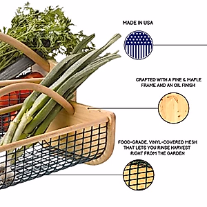 Gardeners Supply Company Large Garden Hod Harvest Basket | Versatile Gardening Fruits & Vegetables Gathering Basket | Natural Smooth Pine - Maple Frame & Coated Mesh | Easy to use - 9"L x 11"W x 11"H