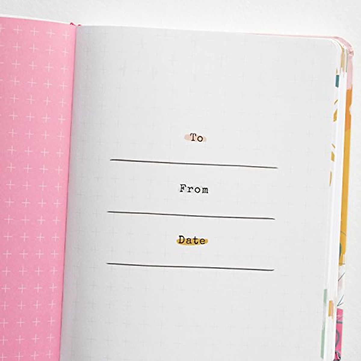 100 Days of Bible Promises: A Devotional Journal