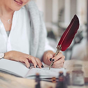Feather Quill Pen Ink Set - Calligraphy Dip Pen Set Fountain Pen Ink Red Feather Pen Display Case with Inkwell and Stand - Quill Pen Set with 5 Stainless Steel Pen Nib Set for Writing Paper, Letter
