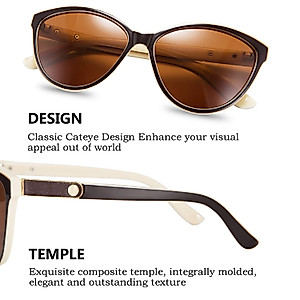 FEISEDY Classic Cateye Polarized Sunglasses for Women 100% UV Protection B2512