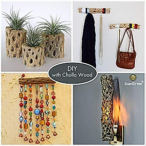 SunGrow Cholla Wood for Betta Fish, 5-Inches Long, Encourage Exercise, Create Basking Spot for Tropical Fish, Creative Addition to Home Crafts, Great Accent Piece, 3-Pcs