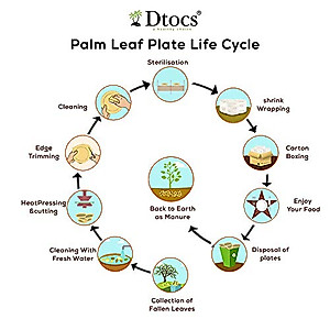 Dtocs Palm Leaf Plate 8 Inch Square Plate (50 Pcs) Bamboo Plate Like Compostable Party Plate Set - Mini Dinner Plate, Cake Plate, Appetizer Plate | Disposable Plates Sturdier Than 8" Paper Plates