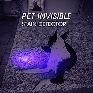 NEXTORCH 405nm uv Light UV Led Blacklight Flashlights Detector Ultraviolet Pocket-Size LED Torch for Pets Urine and Stains Find Stains on Carpet, Rugs 3D Printed Resin C2UV (405nm UV)