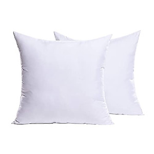 MIULEE 20 x 20 Pillow Inserts (Set of 2) - Throw Pillows Insert Hypoallergenic Premium Pillow Stuffer Square Form for Decorative Cushion Bed Couch Sofa