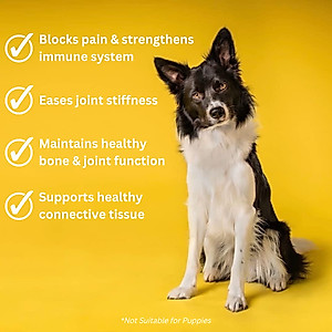 CurcuPet-K9 Joint Supplement for Dogs | Supports Cartilage, Connective Tissue and Overall Joint Health, 56 Tablets | Suitable for All Breeds and Sizes