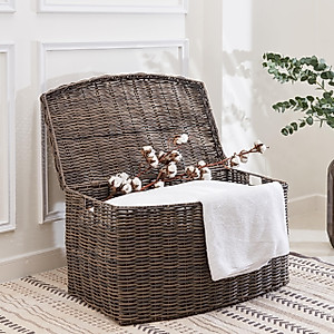Joseph Rectangular Curve Resin Woven Wicker Trunk with Handles - For Clothes, Towels, Toys, Magazine Storage and Home Decoration (Chocolate Brown - 24 x 14 x 15 in)