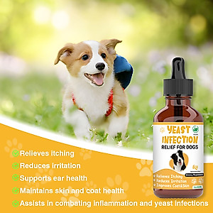 Natural Yeast Infection Treatment for Dogs,Supports Healthy Itch Relief,Inflammation Relief,Allergy Relief & More,Dog Ear Infection Treatment,Itch Relief for Dogs,Ear Infection Treatment for Dogs