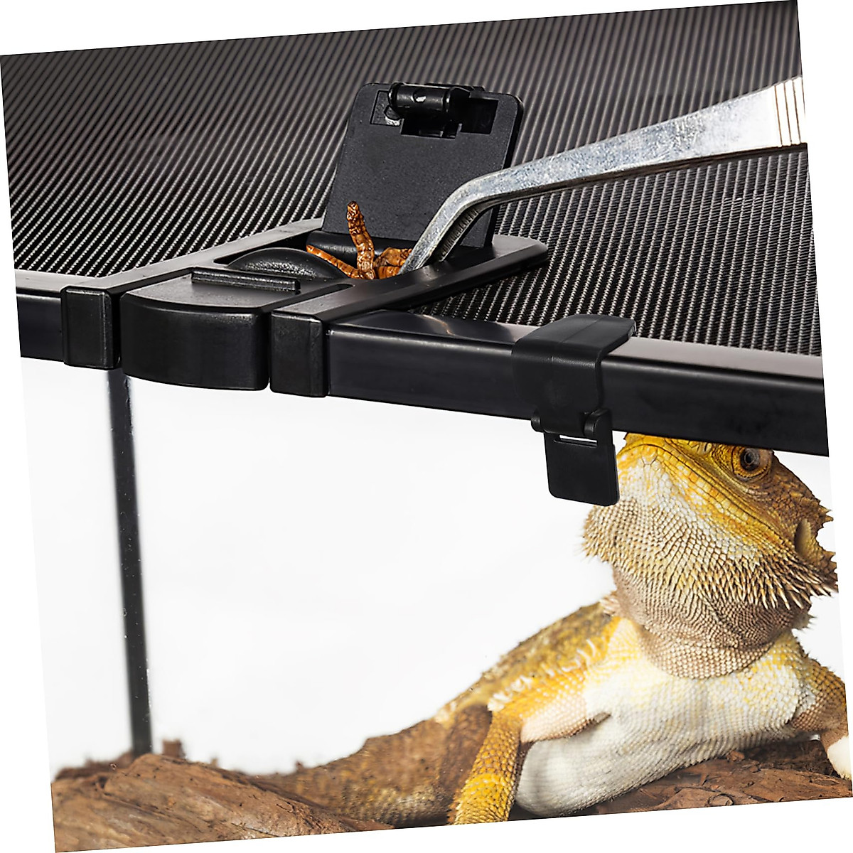 6pcs Cylinder Lock Plastic Turtle Tank Buckle Feeding Tank Parts Turtle Glass Tank Buckle Reptile Pet Tank Latch Reptile Tank Latch Turtle Terrarium Buckle Turtle Tank Latch