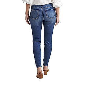 JAG Jeans Women's Cecilia Mid Rise Skinny Jeans, Thorne Blue EDB316, 4 Short