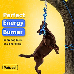 Petbobi Bungee Dog Toy, Tether Tug Outdoor Dog Toy for Pitbull Interactive & Exercise, Spring Pole Tether Tug of War Toy with Durable Rope, Outdoor Hanging Toys for Large Dogs Reduce Boredom, Blue