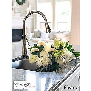 Pfister Wheaton Kitchen Faucet with Pull Down Sprayer and Soap Dispenser, Single Handle, High Arc, Stainless Steel Finish, GT529WH1S, Large
