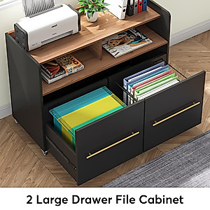 Tribesigns 2 Drawer File Cabinet Rolling Filing Cabinets for Home Office Black lateral File Cabinet Wood File Cabinet for Letter Size, Printer Stand with Rolling Wheel and Open Storage Shelves