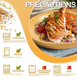 OAMCEG 12 Pack Plastic Plates Reusable 9 Inches Unbreakable Eco-Friendly Lightweight Wheat Straw Plates, Salad Plates, Camping Plates, Dinner Plates, Dishwasher & Microwave Safe, BPA FREE