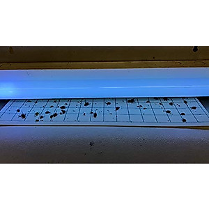 5"x 22" 24 Pack, Fly Light, Insect Light Trap Replacement Glue Boards with 1" Grid