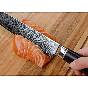 YOUSUNLONG Sashimi Knife 10 inch Fish Fillet Knife Yanagiba Slicer Sushi - Japanese Hammer Damascus Steel Blade - 254mm Right Handed Carving Knife - Natural Walnut Wood Sheath with Flannel Knife Bag